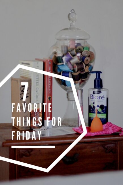 7 Favorite Finds for Friday: Winter - Elizabeth Santelmann