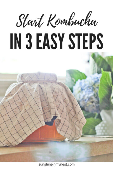 Start Kombucha in 3 Easy Steps - Elizabeth Santelmann