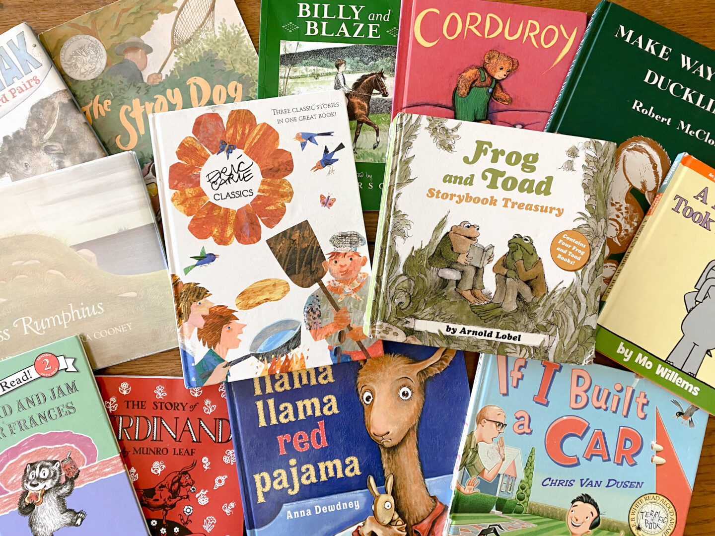 Our Best Picture Books - Elizabeth Santelmann