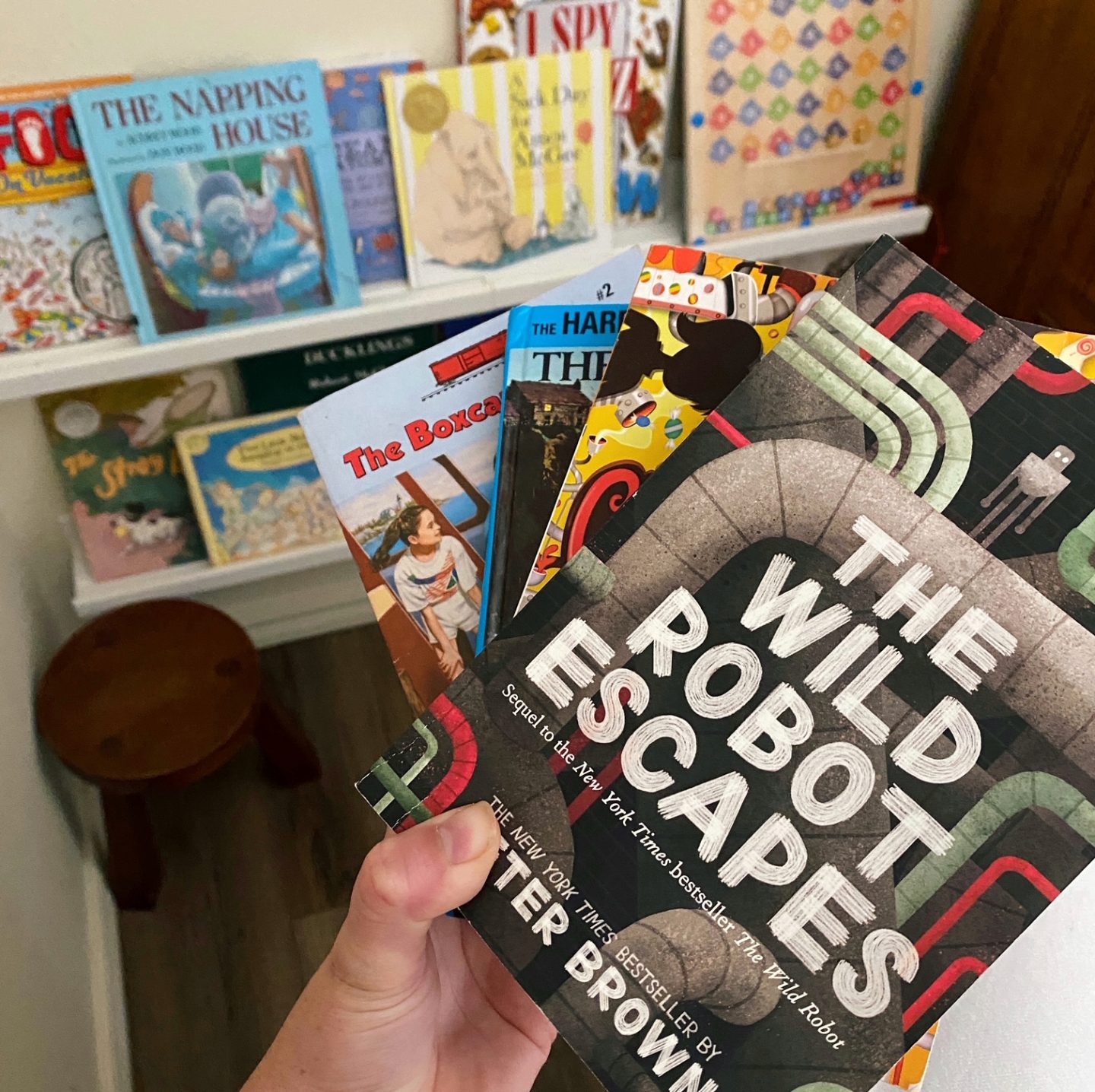 Books My Fourth Grader Loved - Elizabeth Santelmann